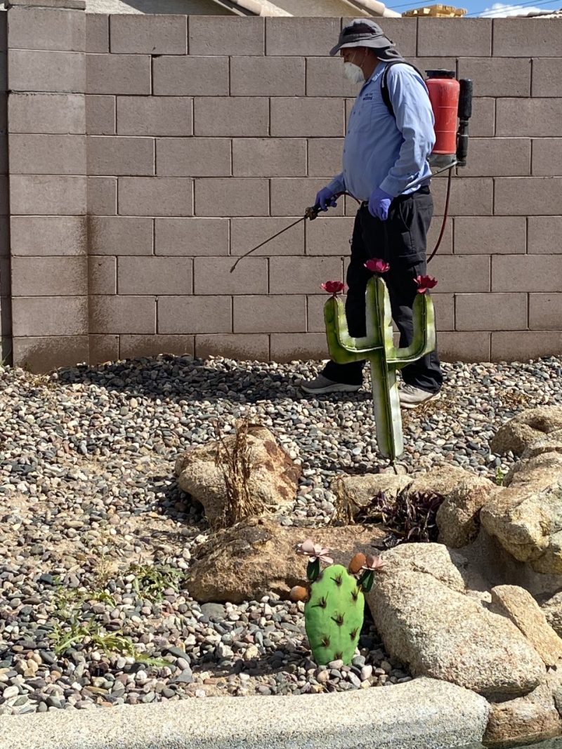 Best Pest Control Services Arizona - Family First Pest Control
