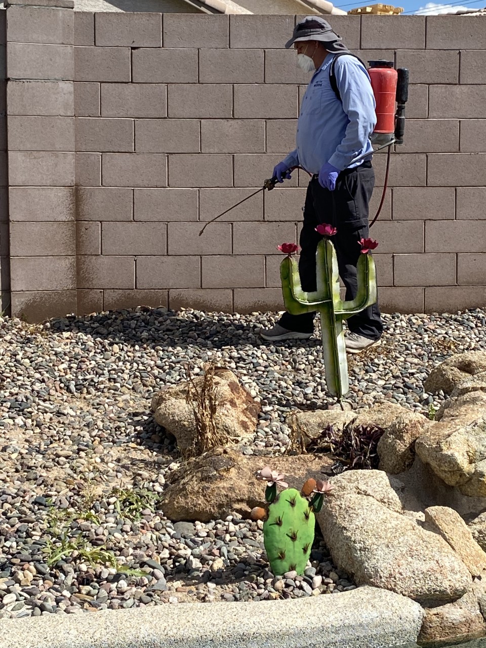 Best Pest Control Services Arizona - Family First Pest Control